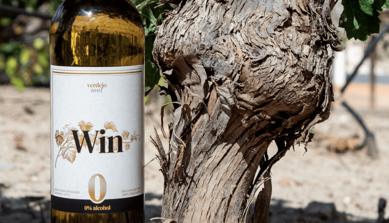 Bodega Win, el primer vino sin alcohol de la Milla de Oro del Duero - EL CORREO DEL VINO