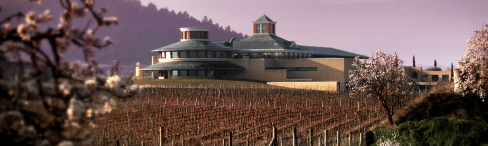 BODEGAS VIVANCO ASCIENDE AL PUESTO 24 Y SE CONSOLIDA ENTRE LOS 50 ...